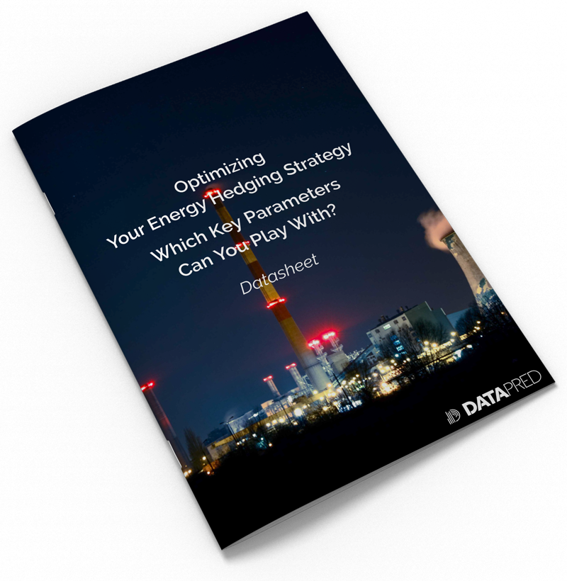 Optimizing Energy Hedging Strategy | Datapred SA