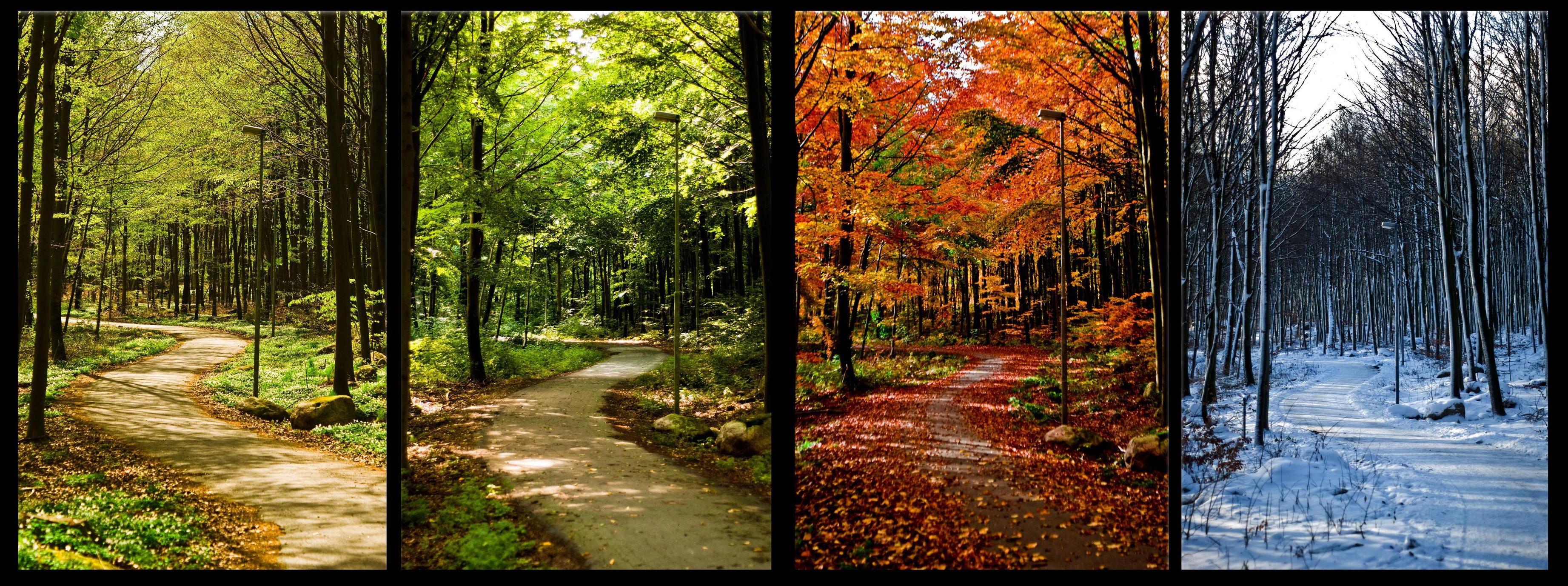 How Should You Handle Seasonality 